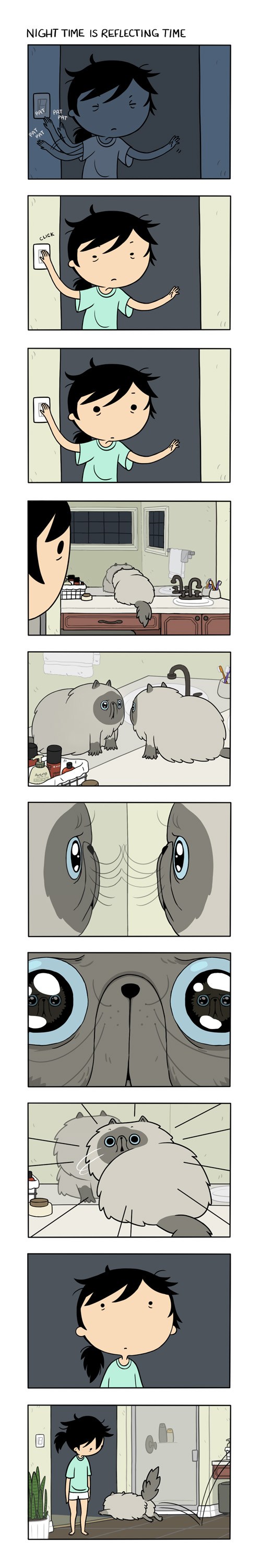 Night Time Is Reflecting Time - Lolcats - lol | cat memes | funny cats ...