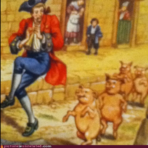 Those Pigs Can Dance! - Picture Is Unrelated - Funny Picture | Funny ...