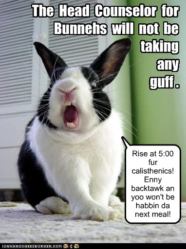 He'll Bite Your Head Off With Those Chompers - Animal Comedy - Animal ...