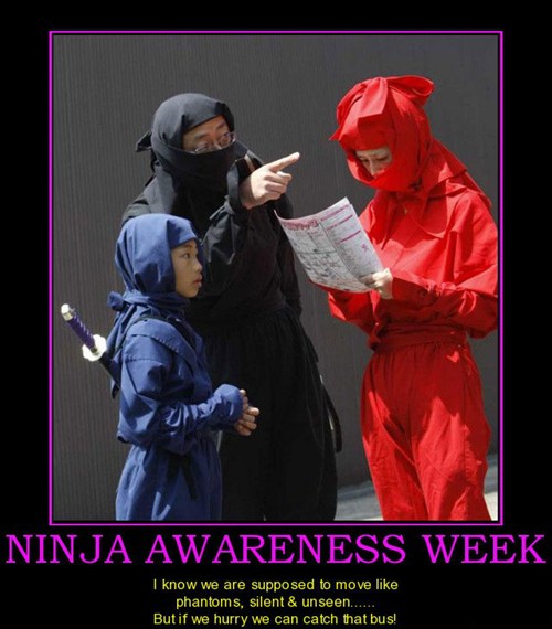 Ninja, Please - Very Demotivational - Demotivational Posters | Very ...