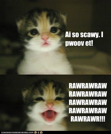 Rawr Cat