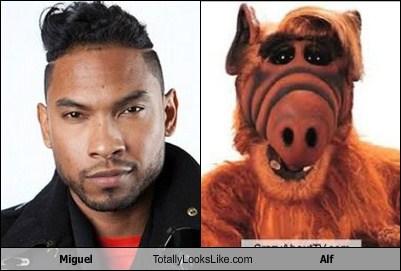 Miguel Totally Looks Like Alf - Totally Looks Like