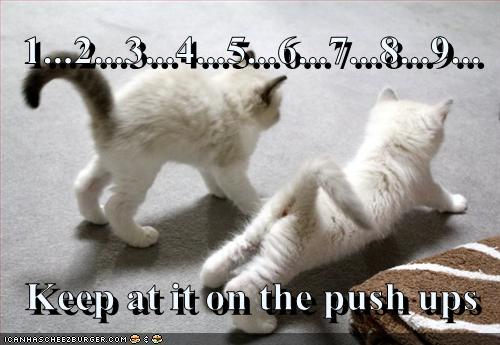 Keep at it on the push ups - Lolcats - lol | cat memes | funny cats ...