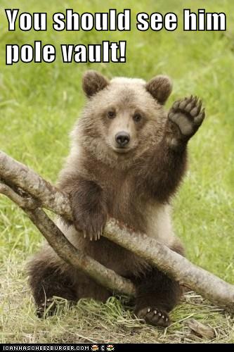 Animal Comedy - waving - Animal Comedy - Animal Comedy, funny animals ...