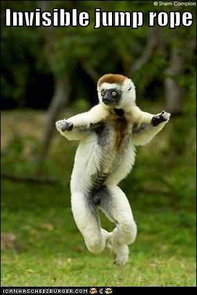 I Can Has Cheezburger? - invisible - Page 2 - Funny Animals Online ...