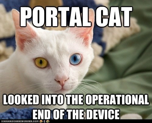 Lolcats - Portal - LOL at Funny Cat Memes - Funny cat pictures with ...
