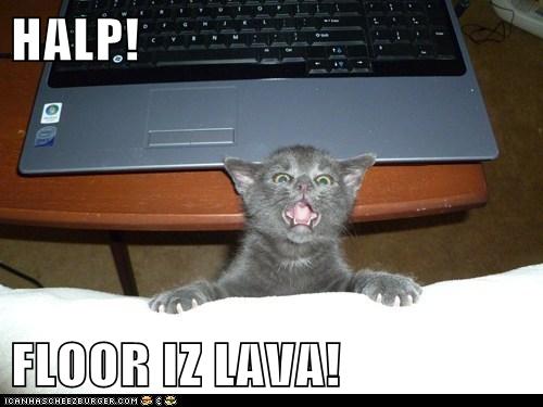 She Really Gets Into Play Time - Lolcats - lol | cat memes | funny cats ...