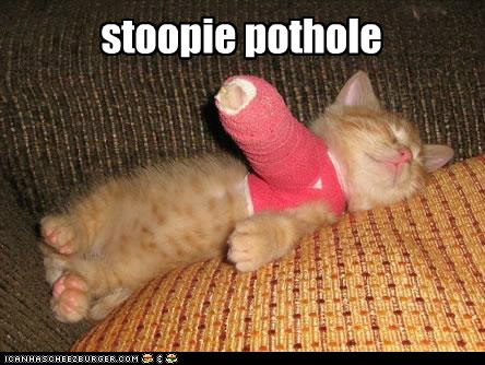 Lolcats - injured - LOL at Funny Cat Memes - Funny cat pictures with ...