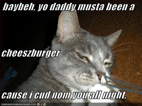 baybeh, yo daddy musta been a cheeszburger cause i cud nom you all ...