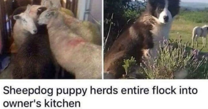 23 Attempts That Got Caught up in a Whirlwind of Failure - FAIL Blog ...