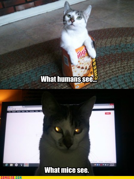 The Power of Perspective - Web Comics - 4koma comic strip, webcomics ...