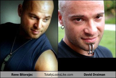 Totally Looks Like - david draiman - Cheezburger