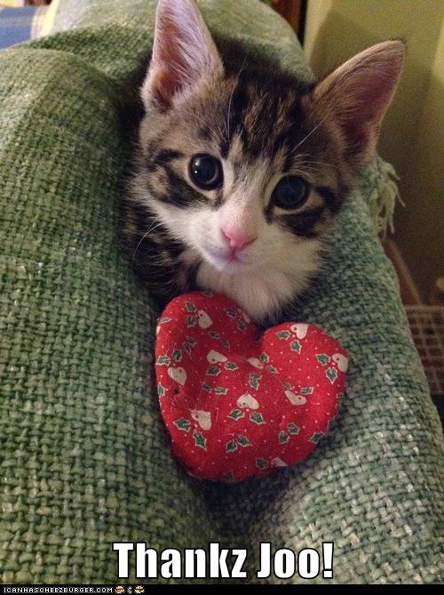 I Hart U 2 - Lolcats - lol | cat memes | funny cats | funny cat pictures with words on them ...