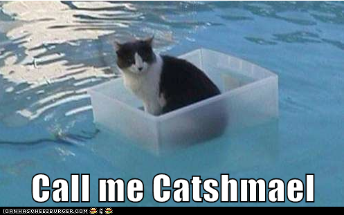 Lolcats - boat - LOL at Funny Cat Memes - Funny cat pictures with words ...