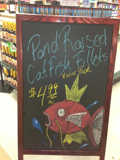 Pokémemes - magikarp - Pokemon Memes - Pokémon, Pokémon GO - Cheezburger