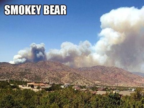 Only YOU Can Cause Forest Fires? - Memebase - Funny Memes