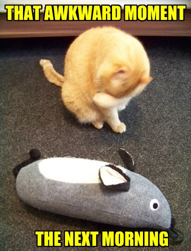 Coyote Mousely - Lolcats - lol | cat memes | funny cats | funny cat ...