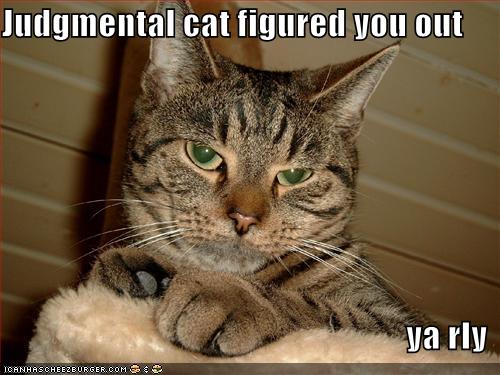Judgemental Meme