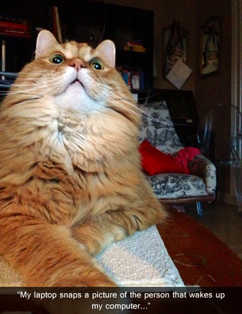 Lolcats - computer - Page 3 - LOL at Funny Cat Memes - Funny cat ...