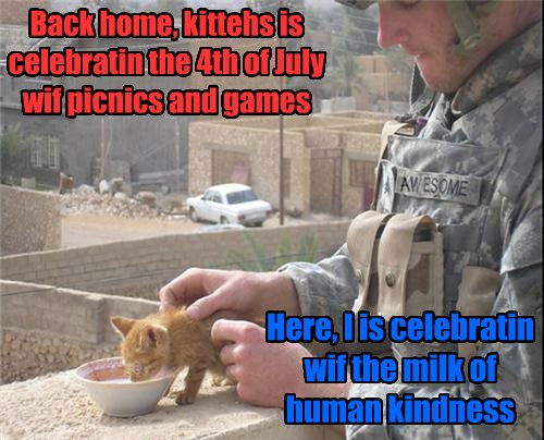 Lolcats - fourth of july - LOL at Funny Cat Memes - Funny cat pictures ...