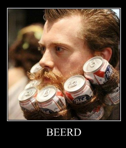 Puns - beard - Funny Puns - Pun Pictures - Cheezburger