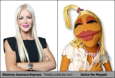 Memebase - janice the muppet - All Your Memes In Our Base - Funny Memes ...