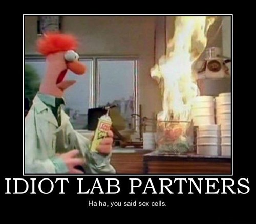 Very Demotivational - beaker - Very Demotivational Posters - Start Your ...