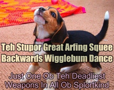 Can't Avoid Teh Kyoot! Urk! *Thud* - I Has A Hotdog - Dog Pictures ...