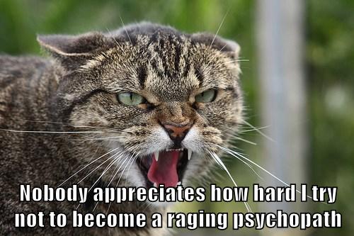 And It Really Makes Me Want to Hurt Somebody! - Lolcats - lol | cat ...