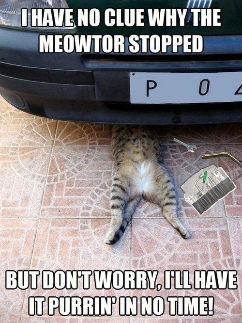 I'm in Ur Car Fixin Ur Engine - Lolcats - lol | cat memes | funny cats ...