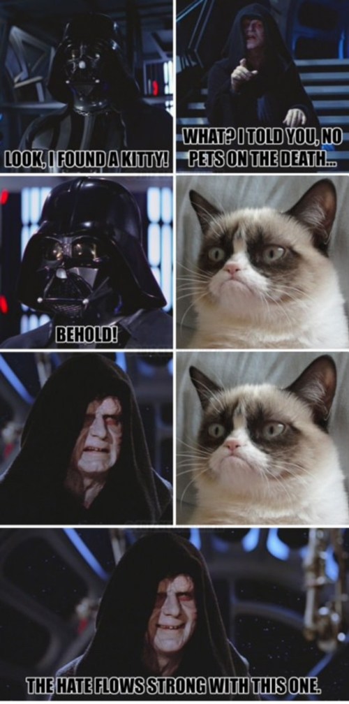 Grumpy Cat Meme Darth Vader