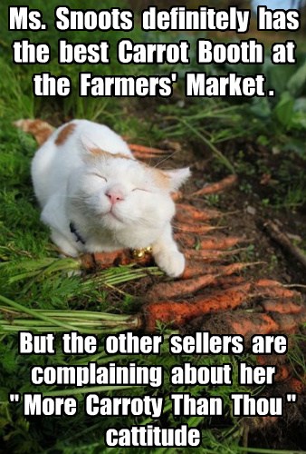 Farmers' Market Feud - Lolcats - lol | cat memes | funny cats | funny ...