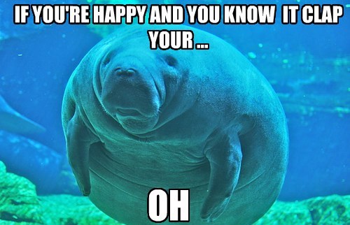 Celebrate Manatee Appreciation Day With Our Favorite Sea Cow Memes - I ...