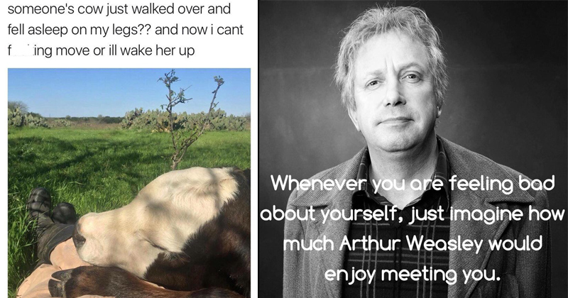 35 Heartwarming Tidbits That'll Defrost Even The Iciest Of Hearts ...