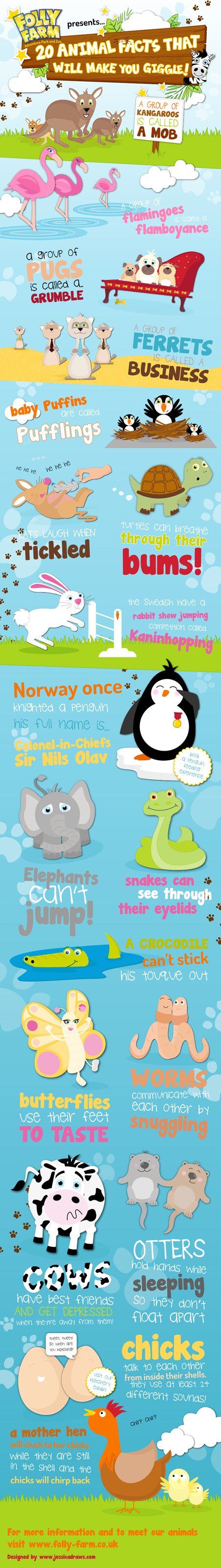 GraphJam - animal - funny graphs - Cheezburger