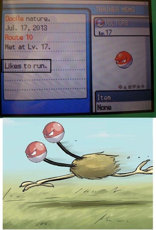 Pokémemes - voltorb - Pokemon Memes - Pokémon, Pokémon GO - Cheezburger