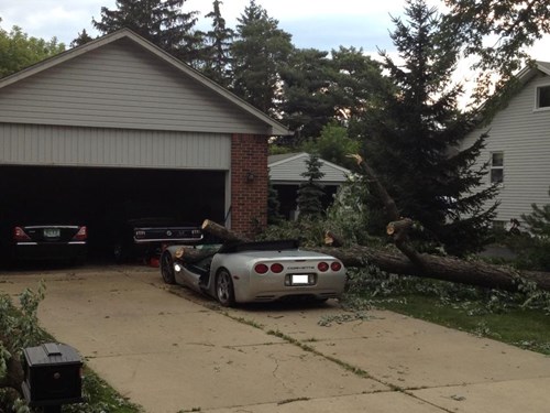 This is Why You Hire the Professionals to do Your Yard Work - FAIL ...