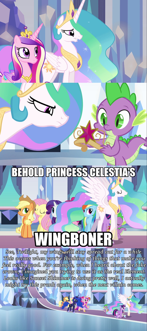 Trollestia’s Wingboner - My Little Brony - my little pony, friendship ...