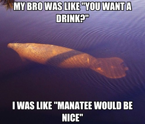 You're So Punny, Mr. Manatee - Puns - Pun Pictures