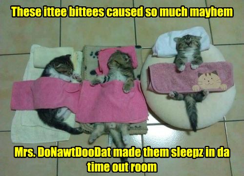 It Dozzen't Seem to Have Upset 'Em at All - Lolcats - lol | cat memes ...