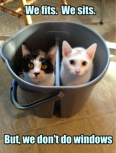 I Can Has Cheezburger? - bucket - Page 2 - Funny Animals Online ...