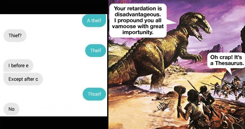 34 Dumb Memes That'll Inject Your Day With Some Mediocrity - Memebase ...