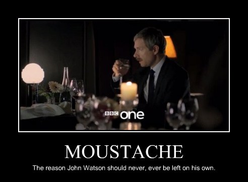 It Looks Rather Fetching - Very Demotivational - Demotivational Posters ...