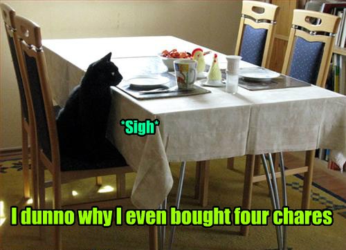 Or This Giant Table, For That Matter - Lolcats - lol | cat memes ...