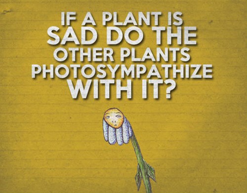 Puns - photosynthesis - Funny Puns - Pun Pictures - Cheezburger