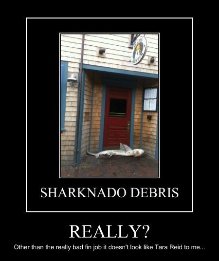 Take That Tara Reid - Very Demotivational - Demotivational Posters ...