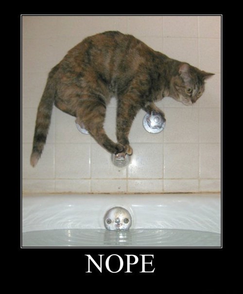 Not Going to Happen - Very Demotivational - Demotivational Posters ...