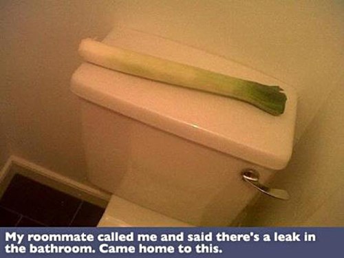 Puns - leek - Funny Puns - Pun Pictures - Cheezburger