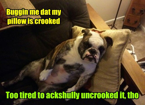 I Has A Hotdog - crooked - Funny Dog Pictures | Dog Memes | Puppy ...