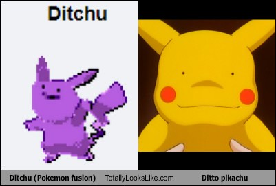 Totally Looks Like Pokemon